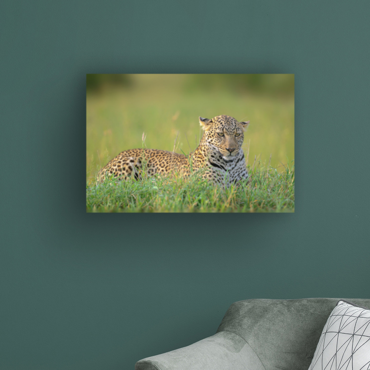 Ebern Designs The Leopard by Roshkumar - Wrapped Canvas Photograph Print | Wayfair